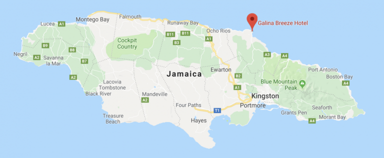 About | American-Caribbean Experience